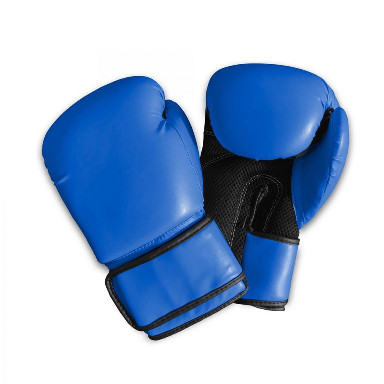 Boxing Gloves – Boxing Gloves | Martial Art Supplies | Uniforms
